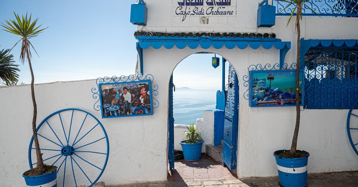Les incontournables à découvrir à Sidi Bou Saïd - GrandesEcolesAuFeminin